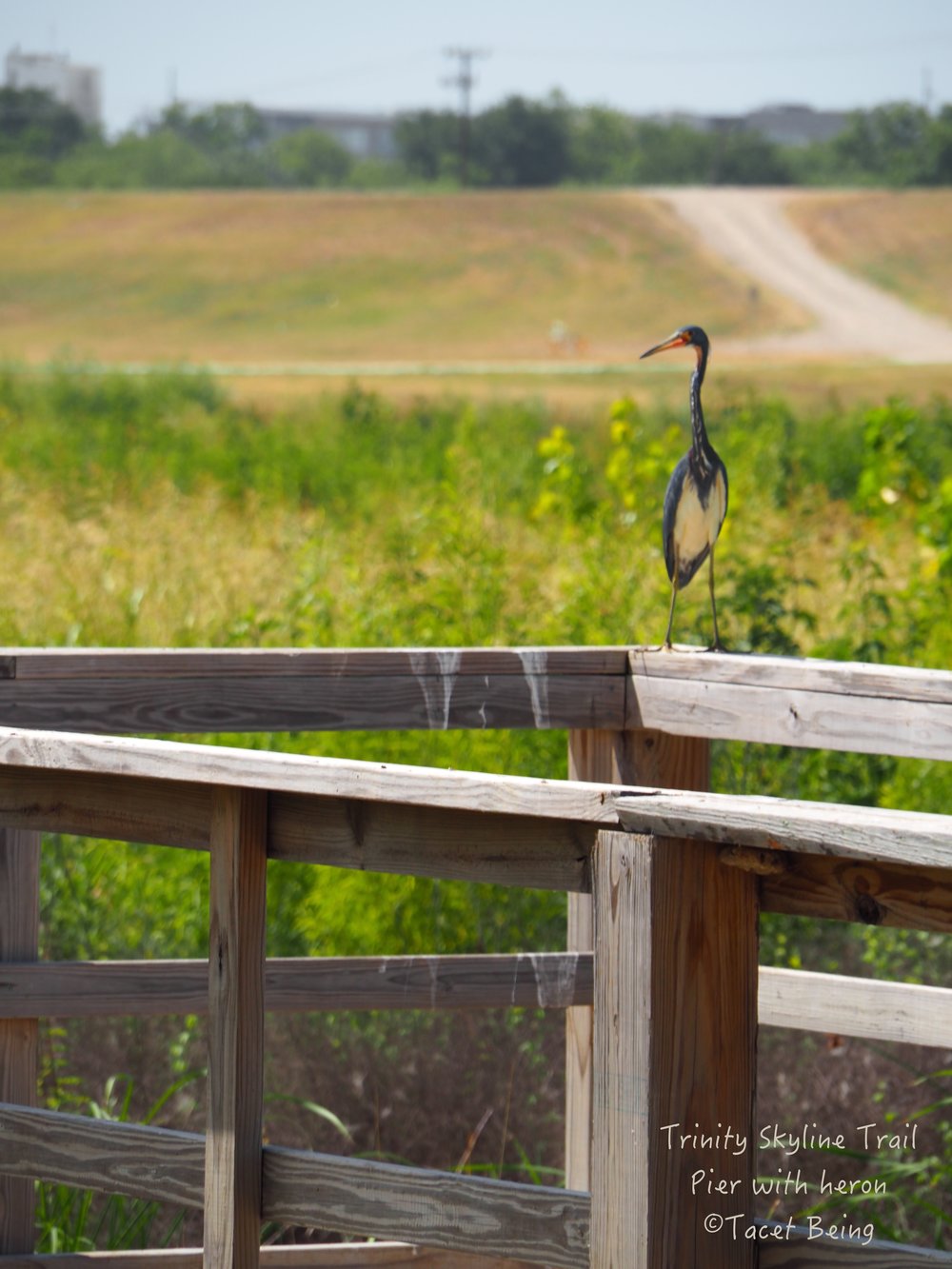 Arkikosa / Trinity River Bridges – Tacet Being