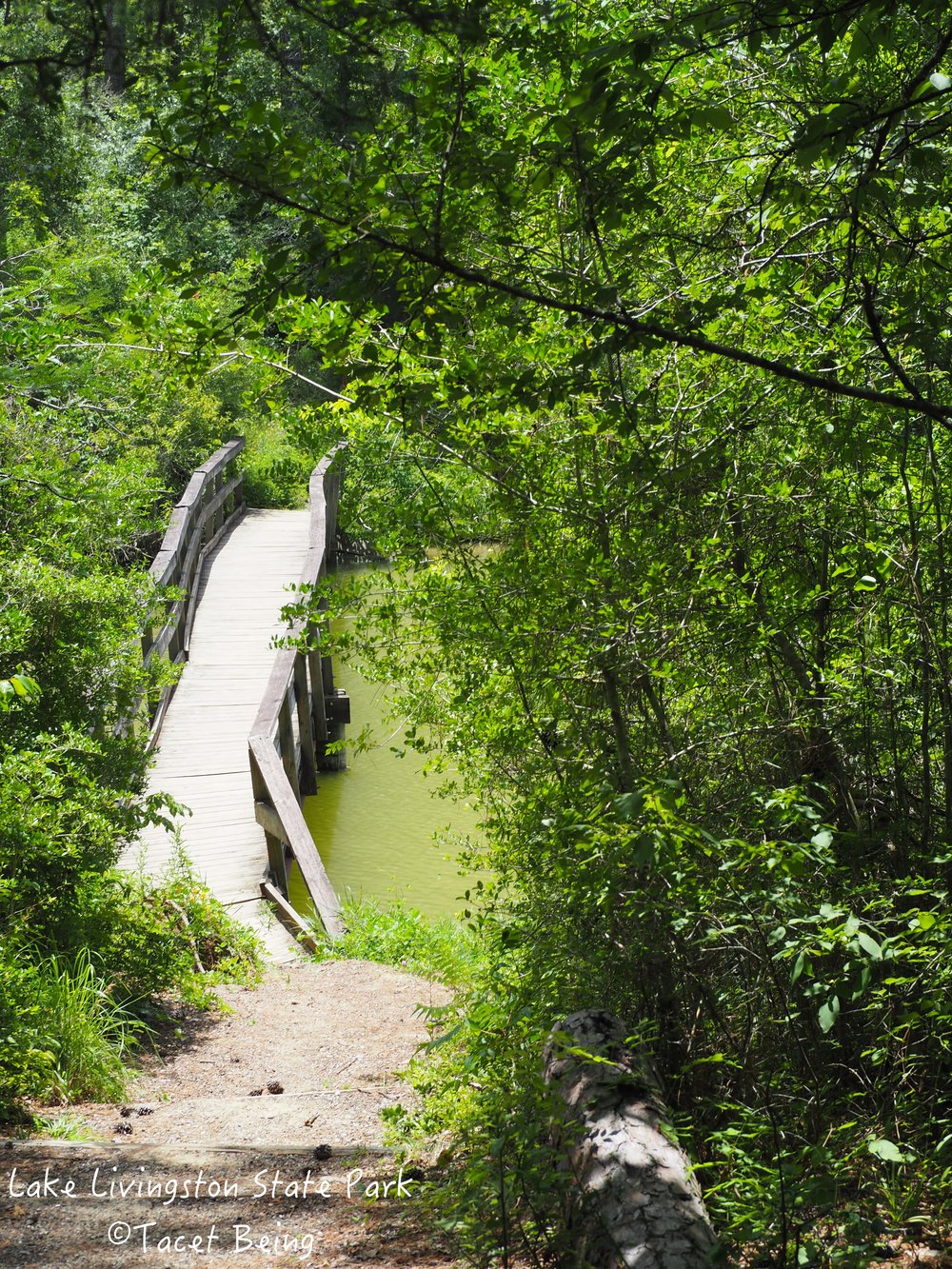 Arkikosa / Trinity River Bridges – Tacet Being