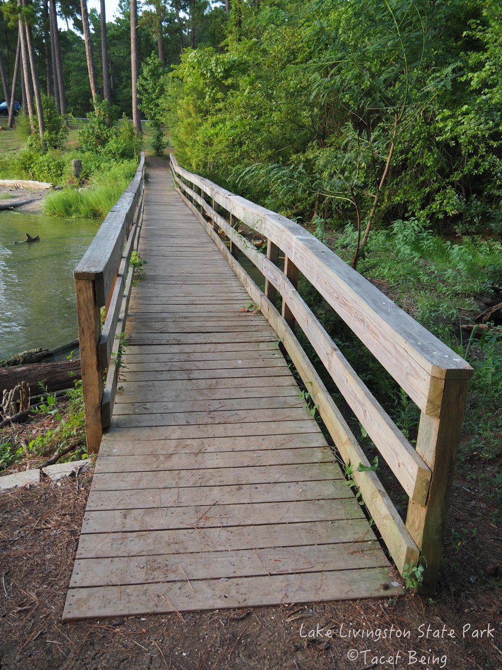 Arkikosa / Trinity River Bridges – Tacet Being