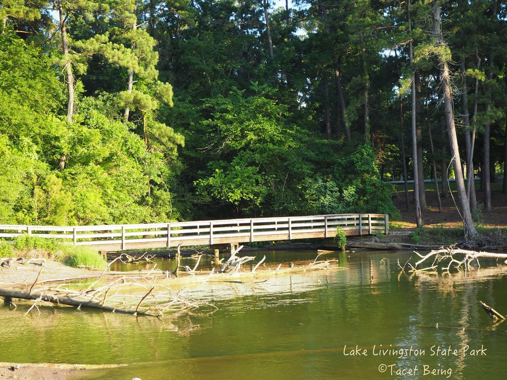 Arkikosa / Trinity River Bridges – Tacet Being