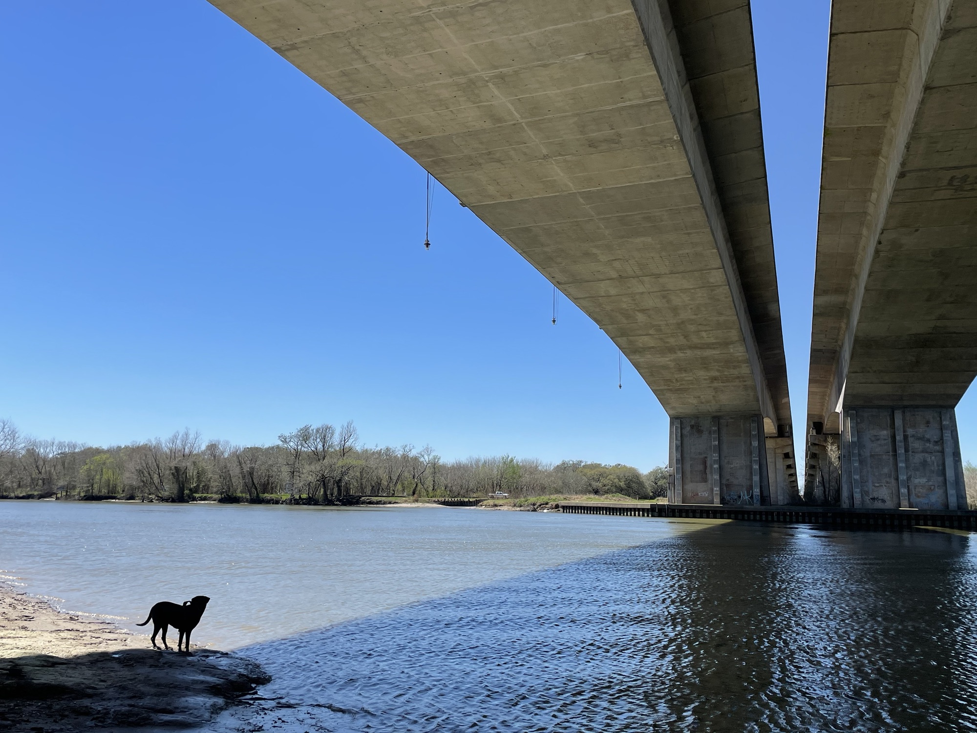 Visit – Tacet Being